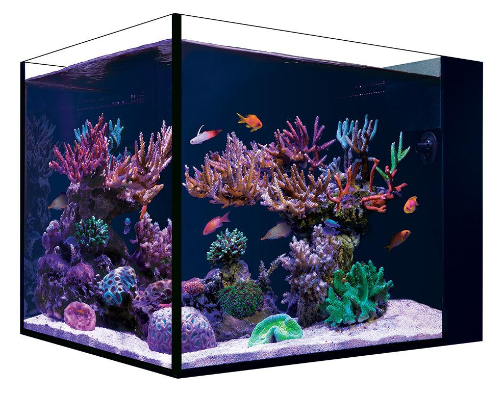 Red Sea Desktop Cube Tank – No Cabinet | Nano Reef Aquarium Canada ...